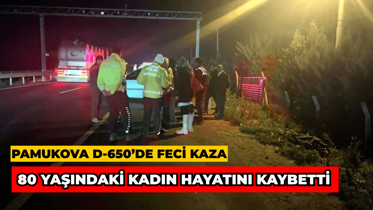 Pamukova D-650’de Feci Kaza: 80 Yaşındaki Kadın Hayatını Kaybetti ...